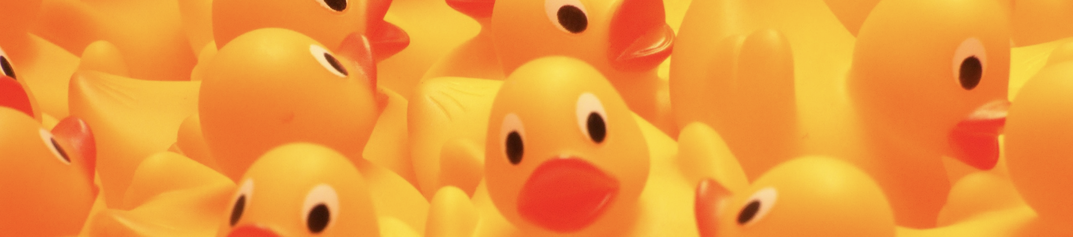 3 questions that will make you a phenomenal rubber duck – Dan Slimmon